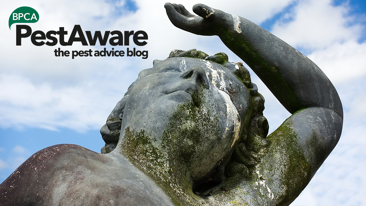 Putting safety first with effective bird management