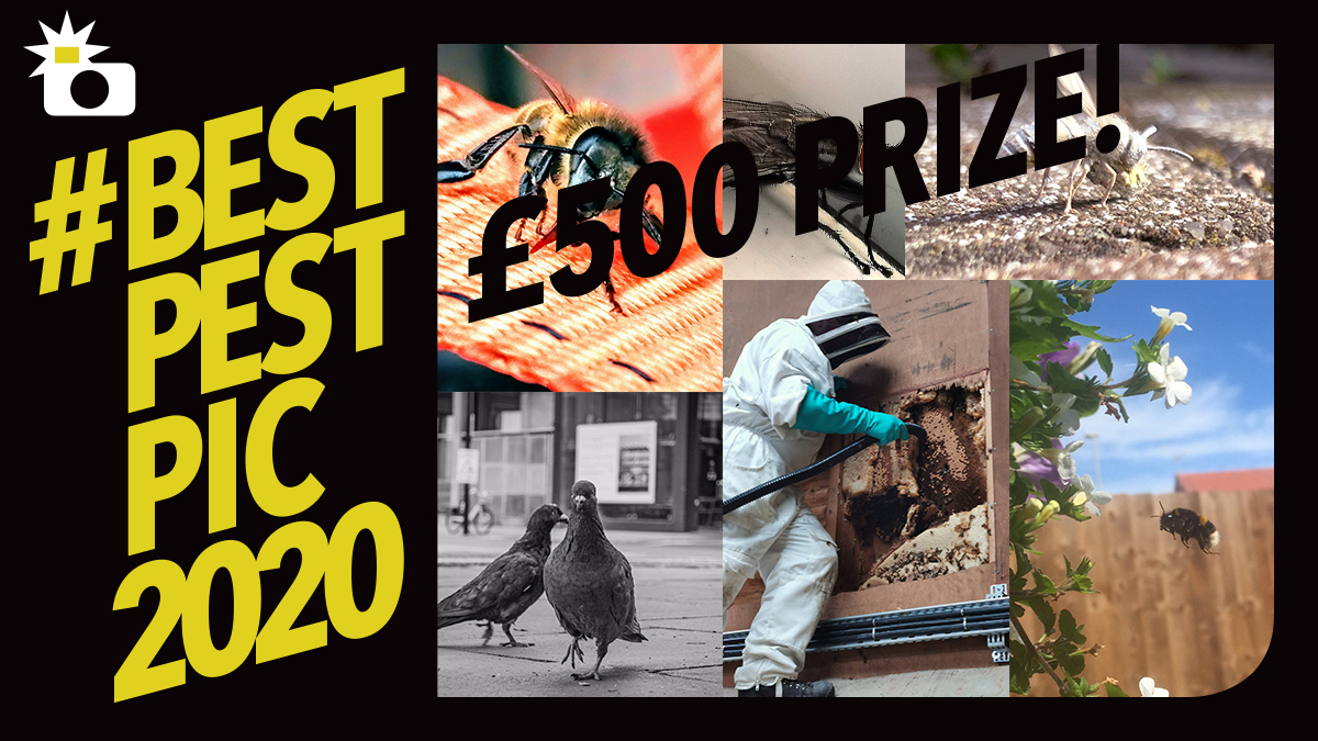 #BestPestPic2020 shortlist announced!