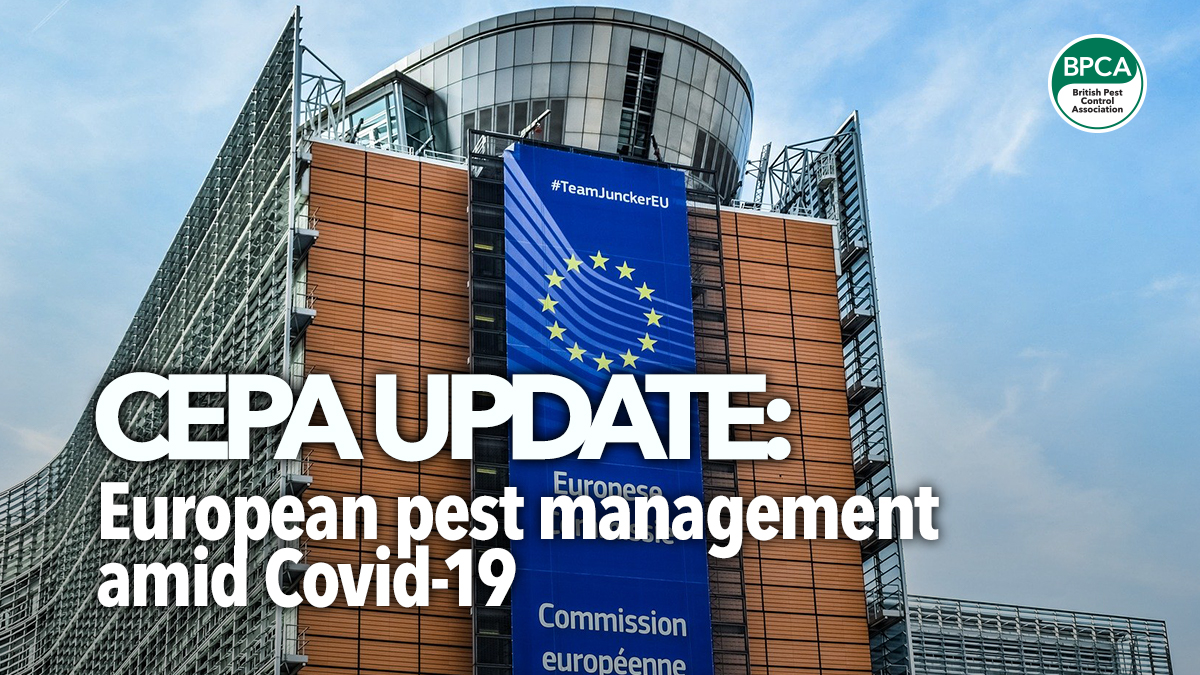 CEPA update: European pest management amid Covid-19