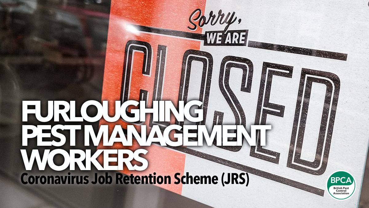 UPDATED: Furloughing pest management workers and the Coronavirus Job ...