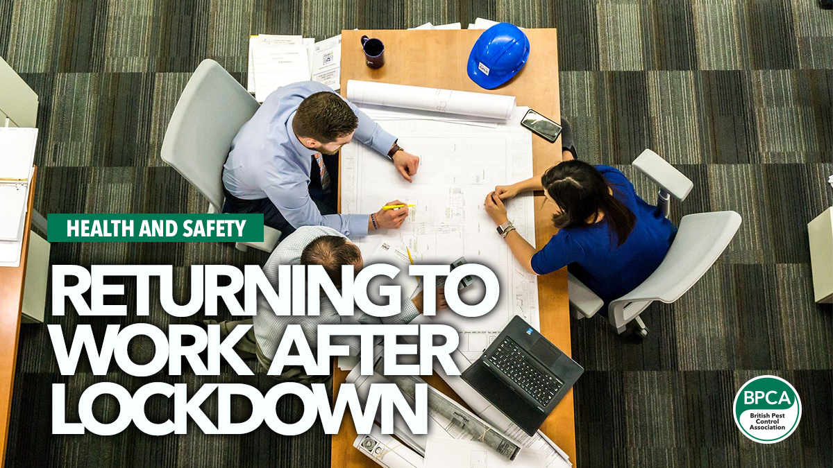 Health and safety: returning to work after lockdown