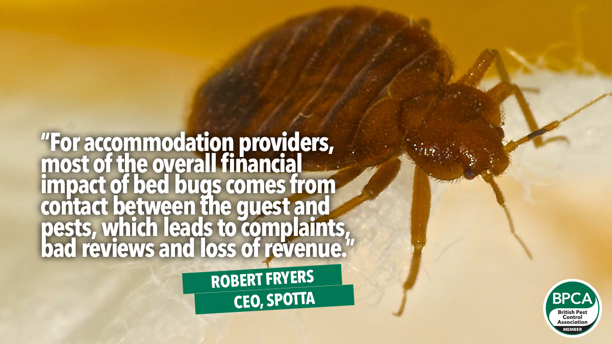 BPCA member Spotta puts bed bugs to the test with smart pest monitoring