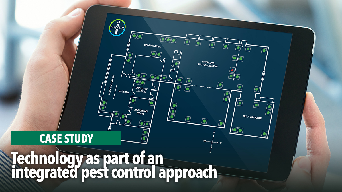 Case study: Technology at heart of pest control company