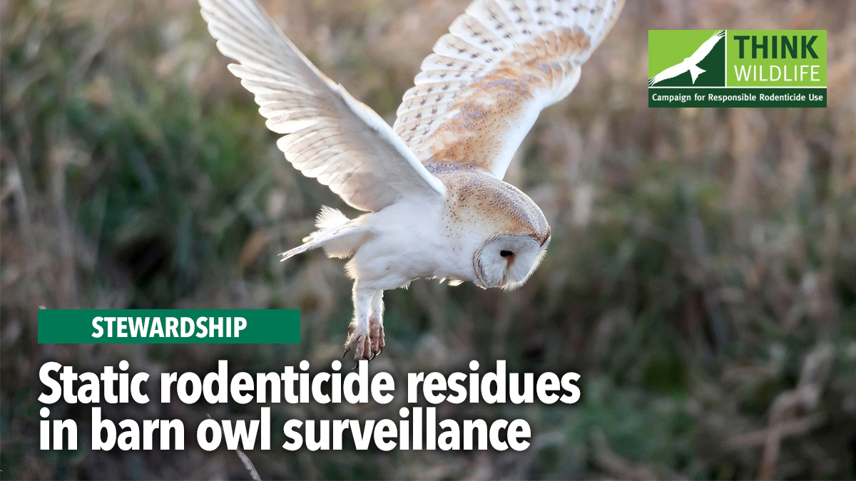 Static rodenticide residues in barn owl surveillance