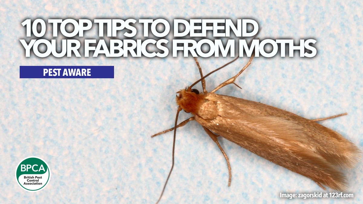 Trade body’s 10 top tips to defend your fabrics from moths
