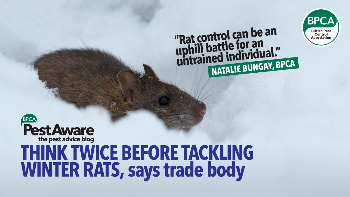 Think twice before tackling winter rats, says trade body