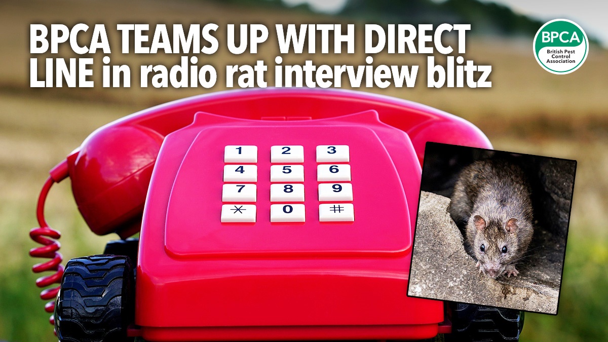 BPCA teams up with Direct Line in radio rat interview blitz