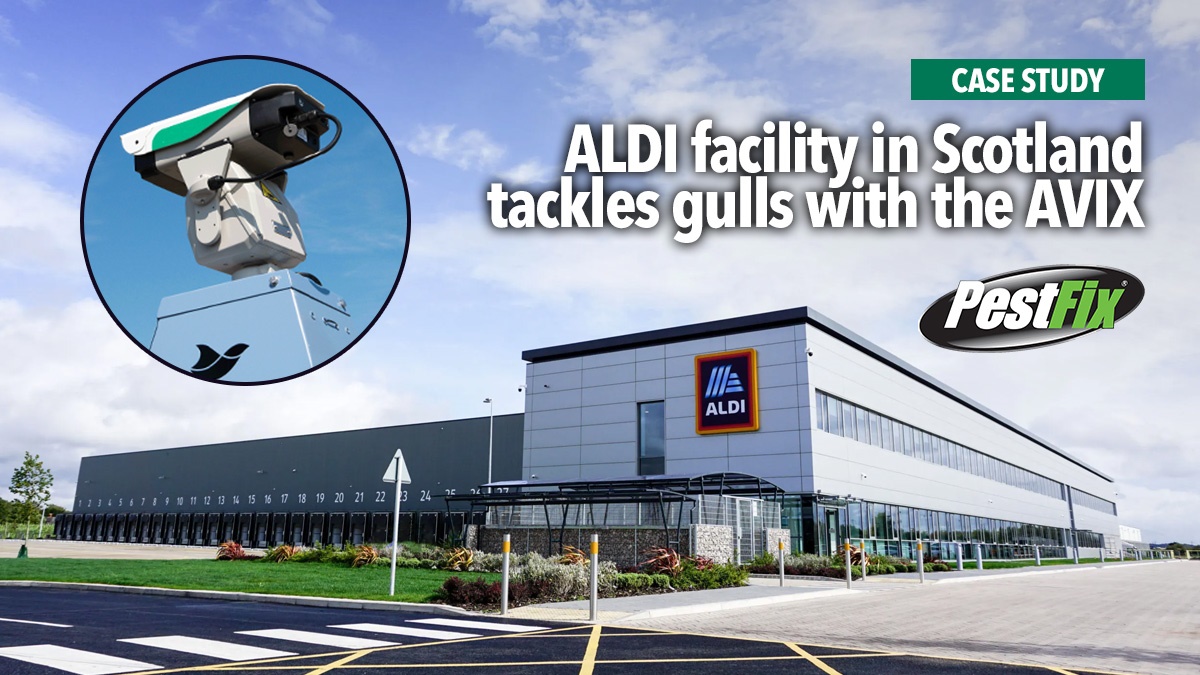 Case study: ALDI facility in Scotland tackles gulls with bird laser