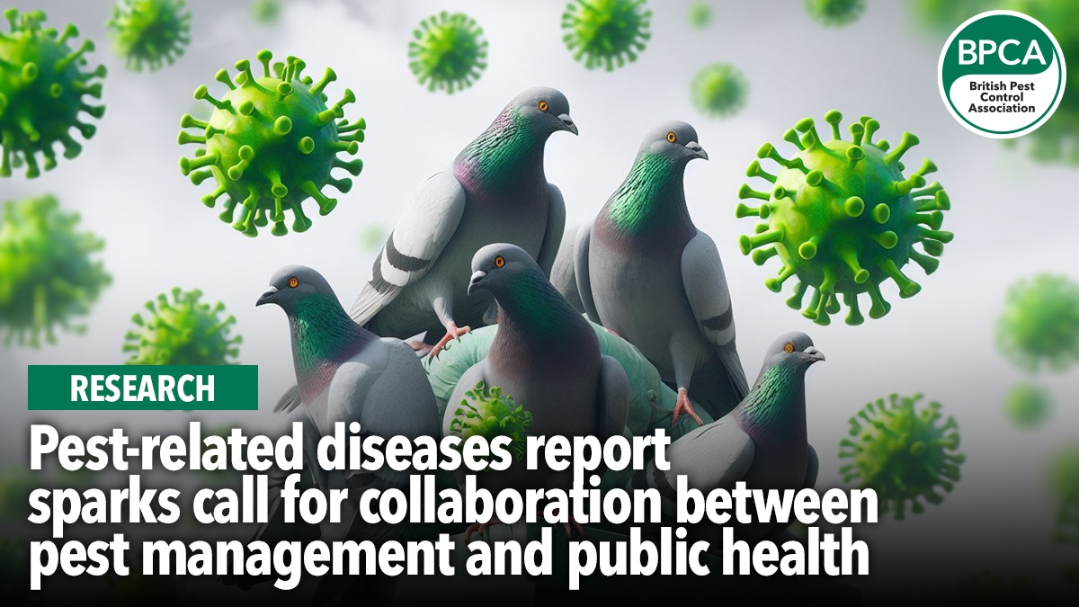 Pest-related diseases report sparks call for collaboration between pest ...