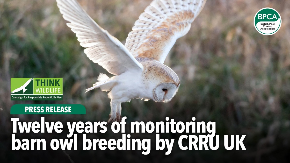 Twelve years of monitoring barn owl breeding by CRRU UK