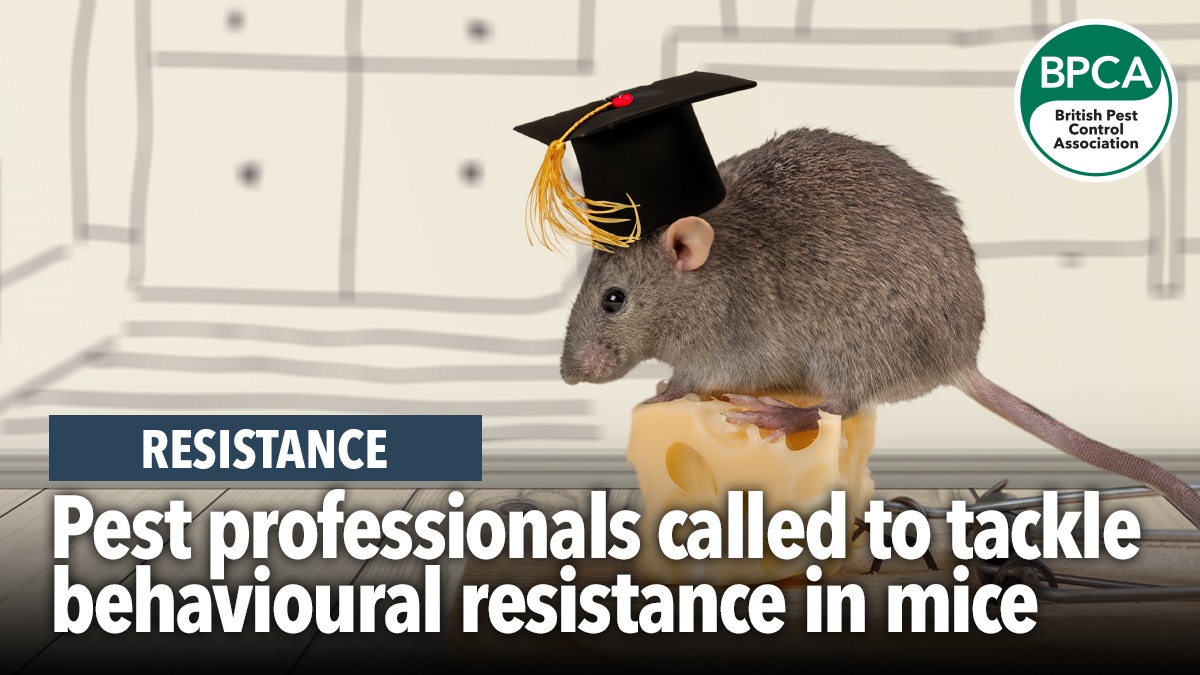 Pest professionals called to tackle behavioural resistance in mice