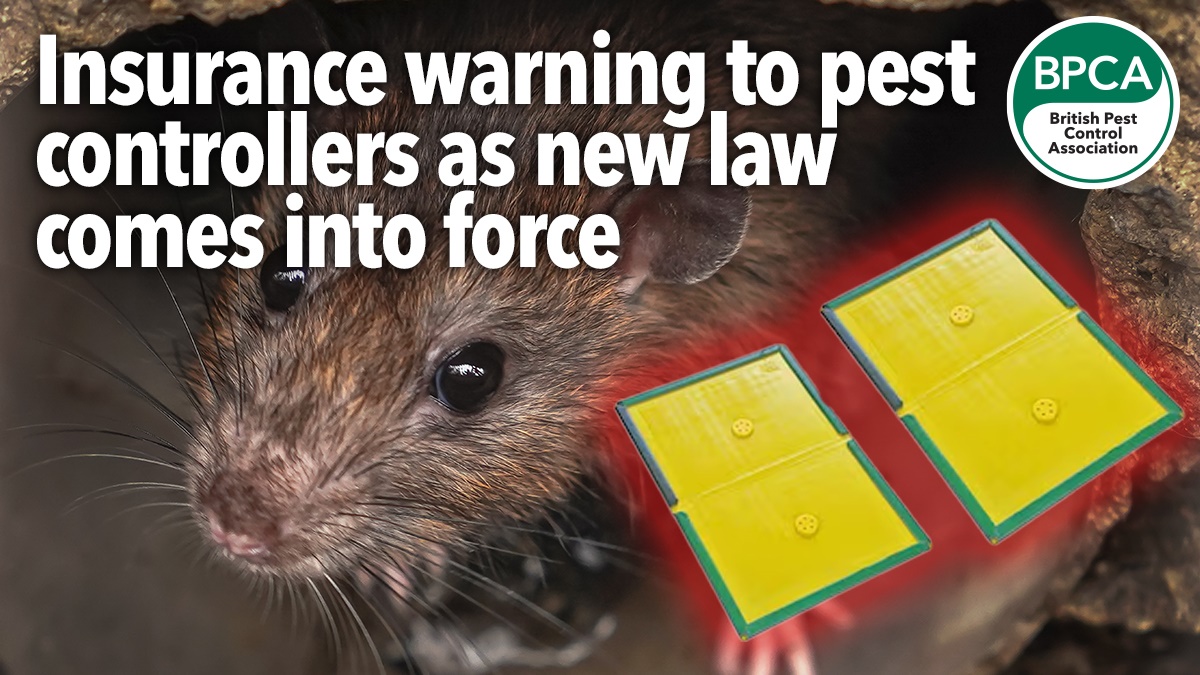 Insurance warning to pest controllers as new law comes into force