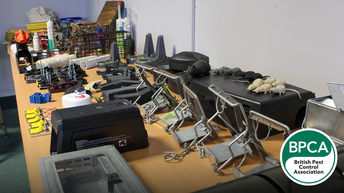 Why should you do the RSPH Level 2 Award in Pest Management ...