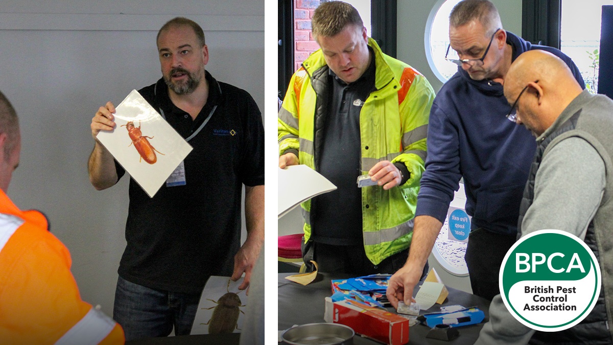 Why should you do the RSPH Level 2 Award in Pest Management ...