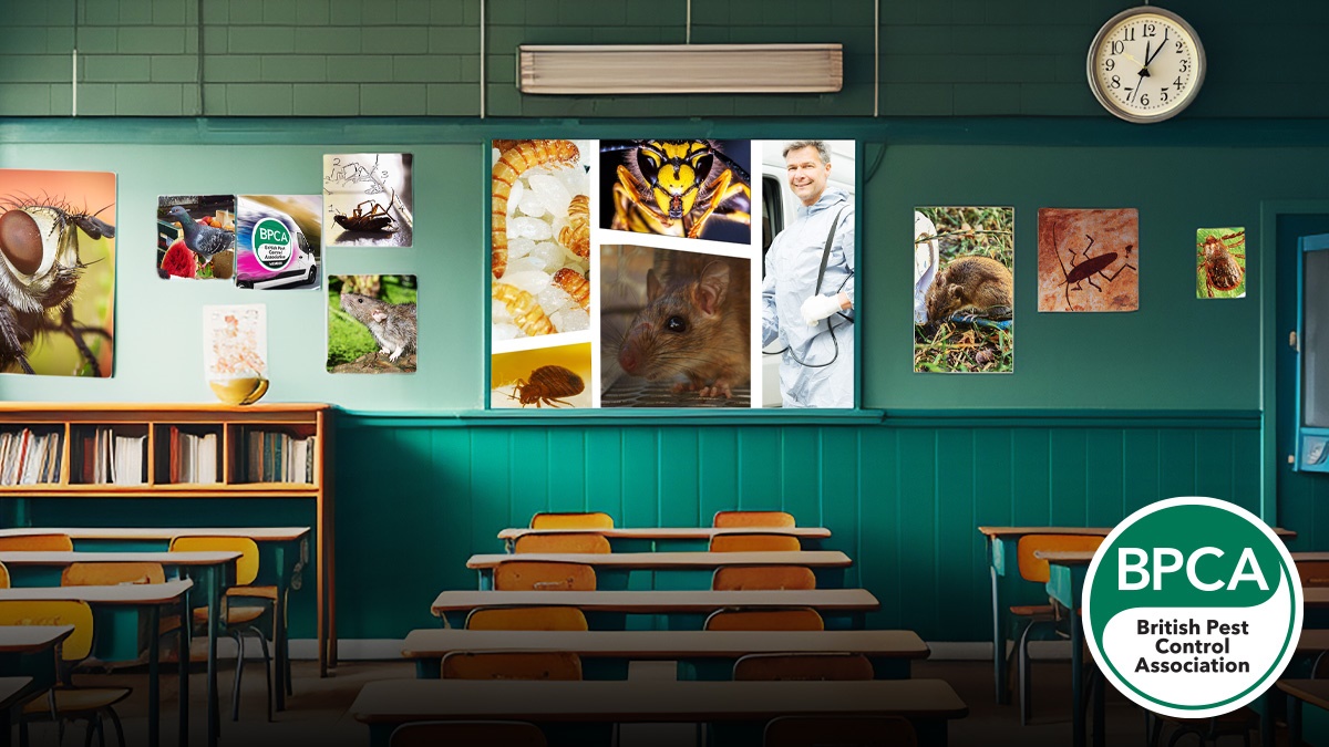 Why should you do the RSPH Level 2 Award in Pest Management ...