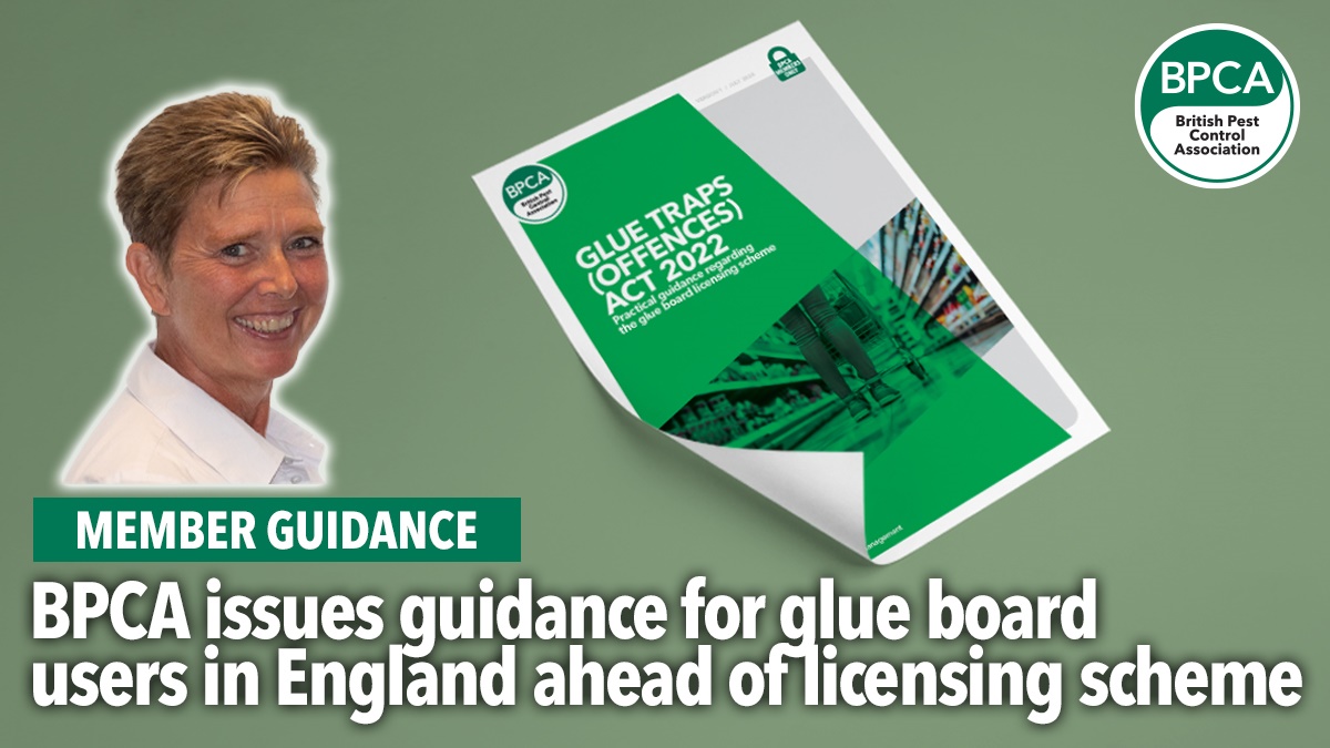 BPCA issues professional guidance for glue board users in England ...