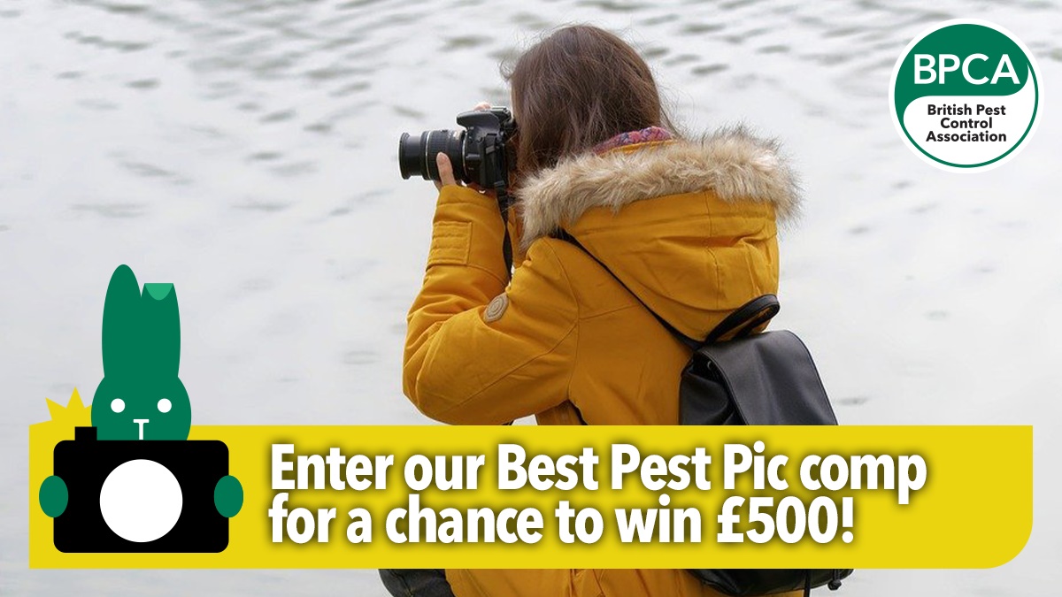 Best Pest Pic competition is back for PPC Live 2025
