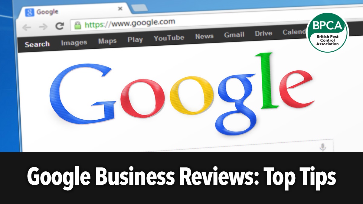 Missing Google Reviews or Suspended Profiles? A Quick Guide for Pest ...