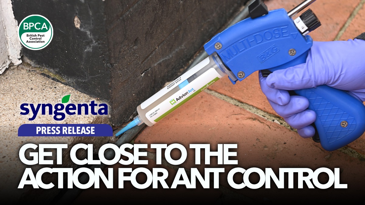 Syngenta: Get close to the action for ant control