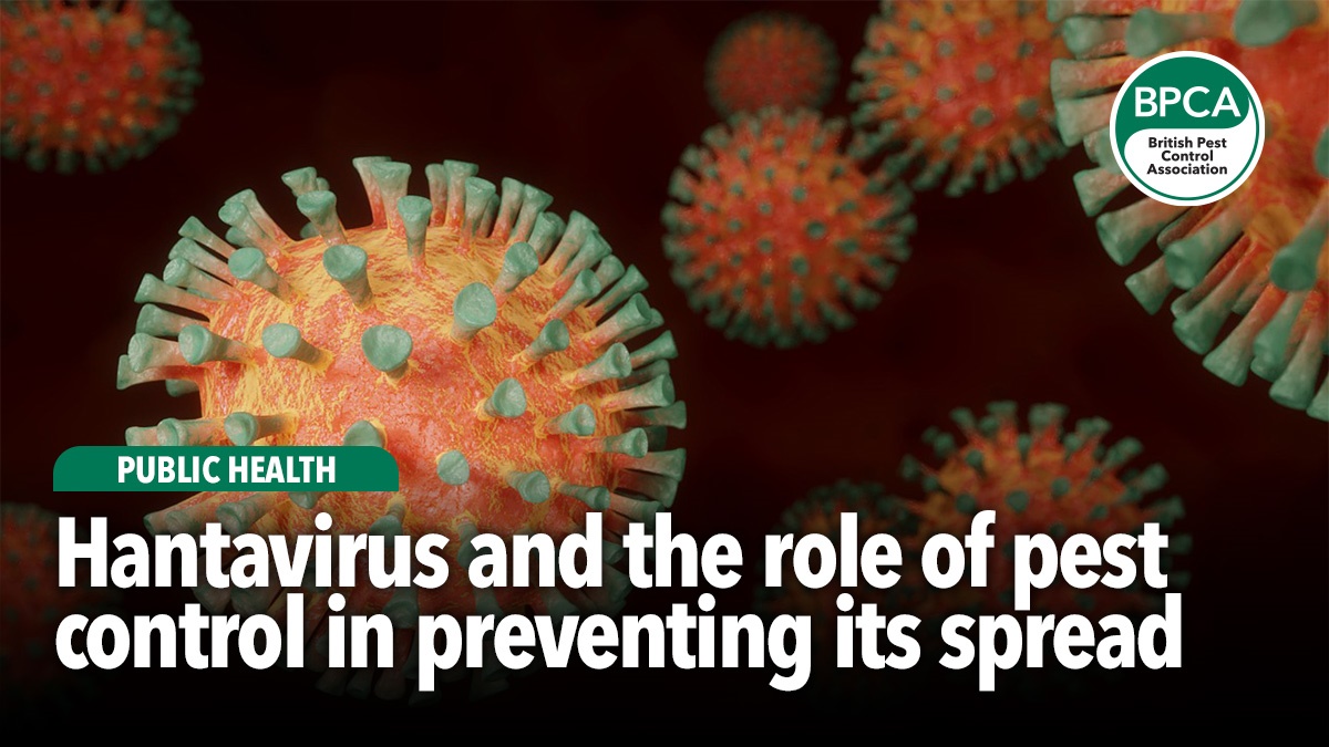 Hantavirus and the role of pest control in preventing its spread