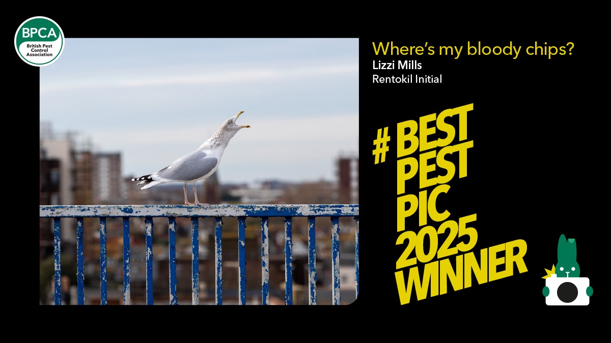 Best Pest Pic 2025 winner announced