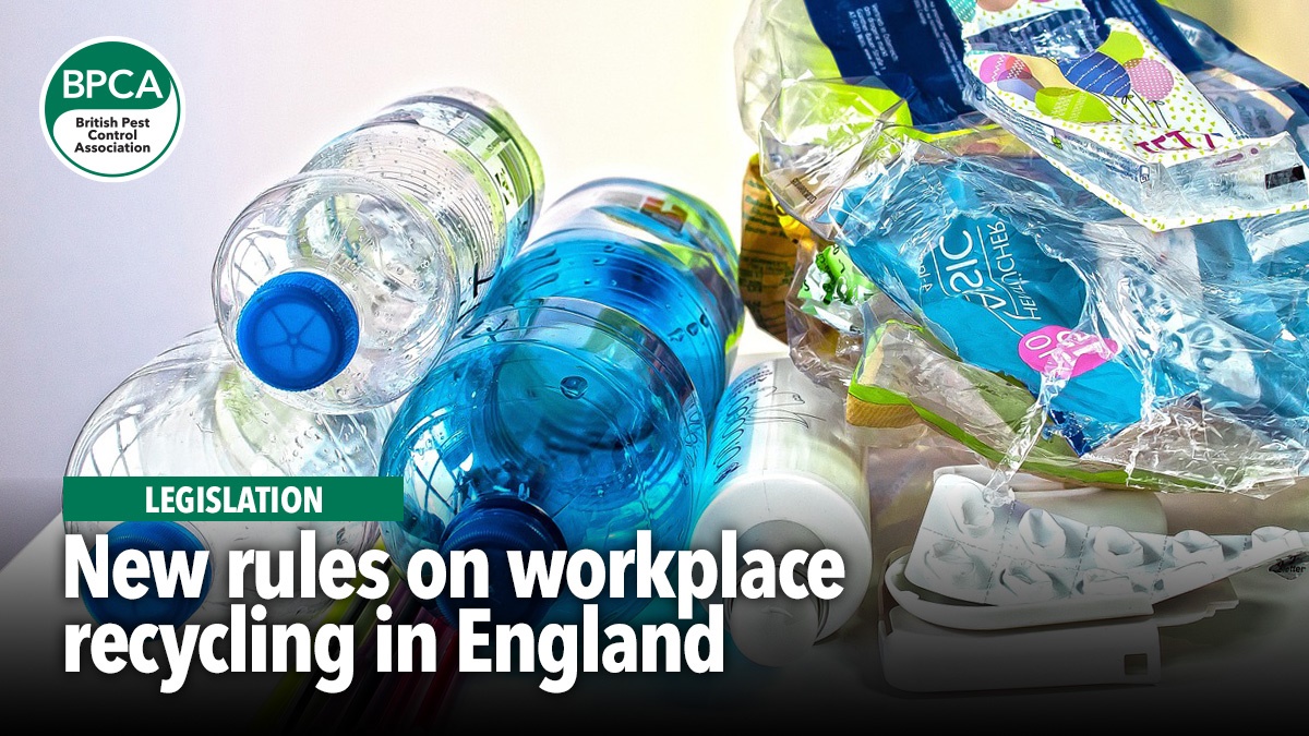 New rules on workplace recycling in England