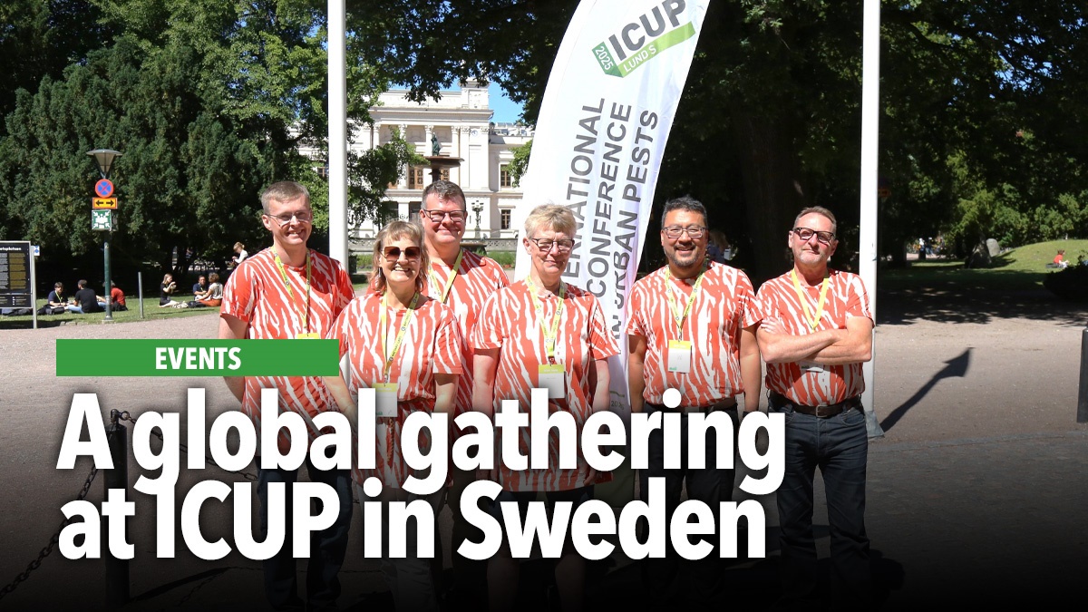 A global gathering at ICUP in Sweden