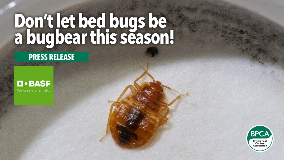 Don’t let bed bugs be a bugbear this season!