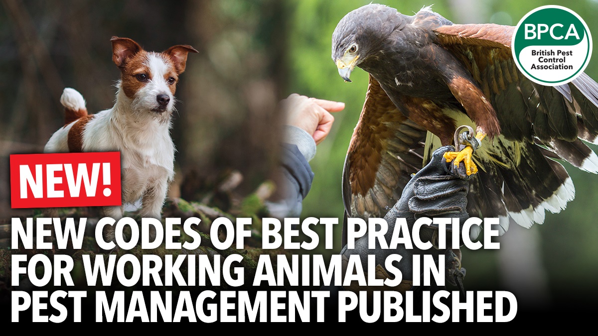 New Codes of Best Practice for working animals in pest management published