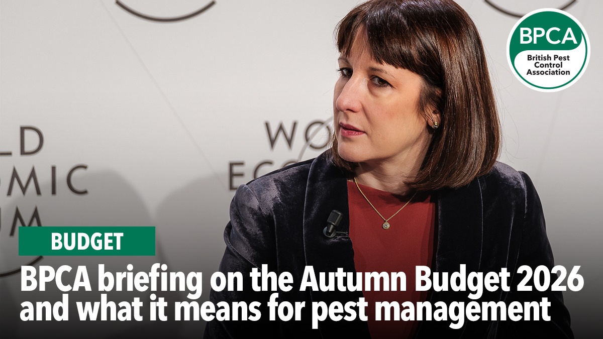 BPCA briefing on the Autumn Budget 2025 and what it means for pest ...