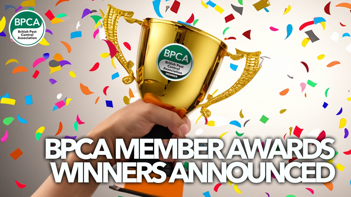2025 BPCA Member Award winners announced