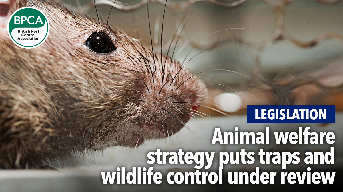 Animal welfare strategy puts traps and wildlife control under review