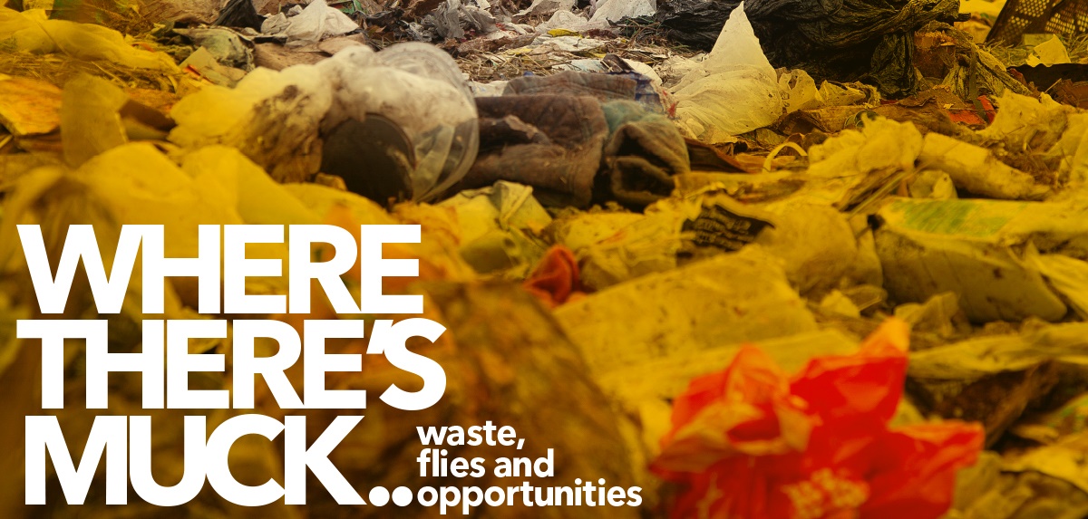 Waste, flies and opportunities for pest controllers
