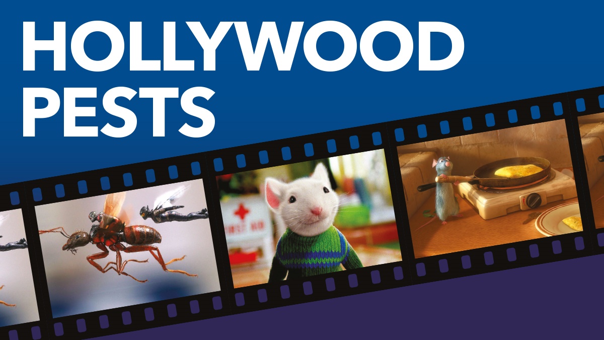 Hollywood Pests: Pest control film reviews