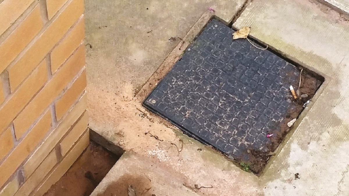 Rat behaviour in rodent control