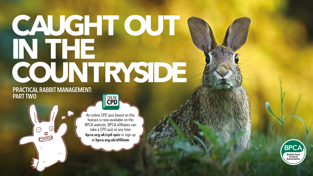Practical rabbit management: part two