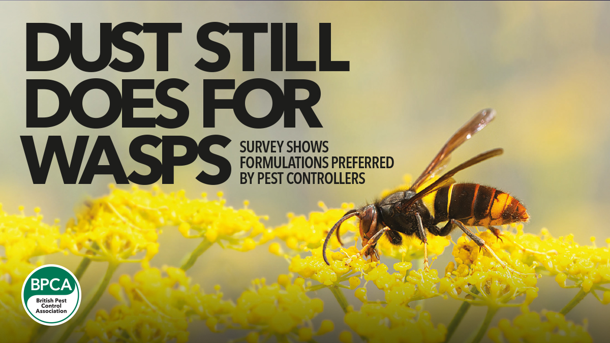 Survey shows dust formulations preferred by pest controllers