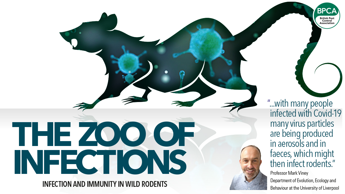 Infection and immunity in wild rodents - the zoo of infections