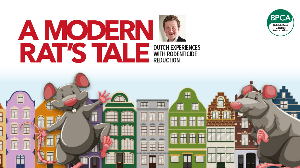 A modern rat's tale: Dutch experiences with rodenticide reduction