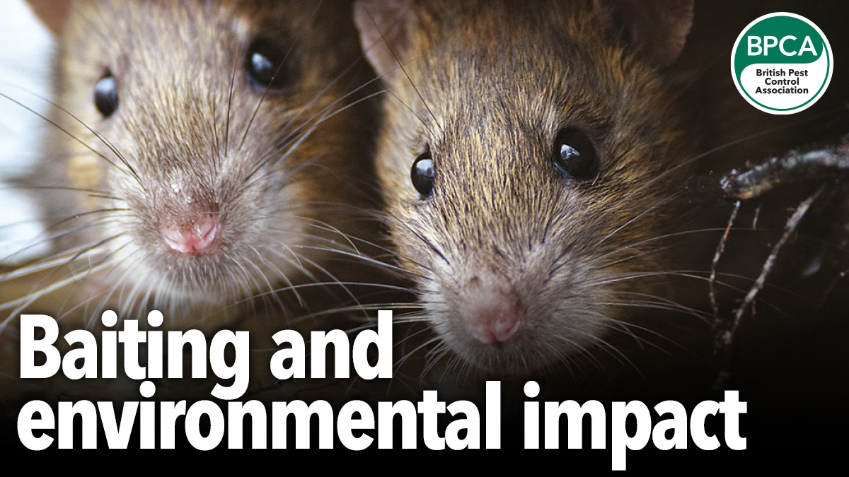 Rodent baiting for pest controllers and environmental impact