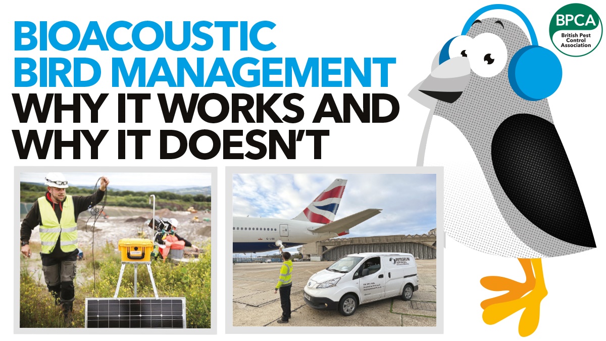Bioacoustic bird management: why it works and why it doesn’t