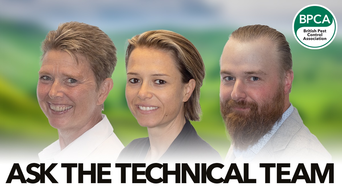 Ask the technical team June 2023: Codes of Best Practice special