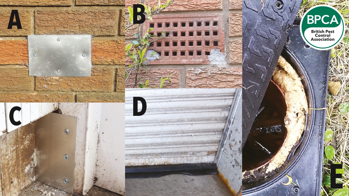 Proof is in the pudding: Fundamentals of pest proofing
