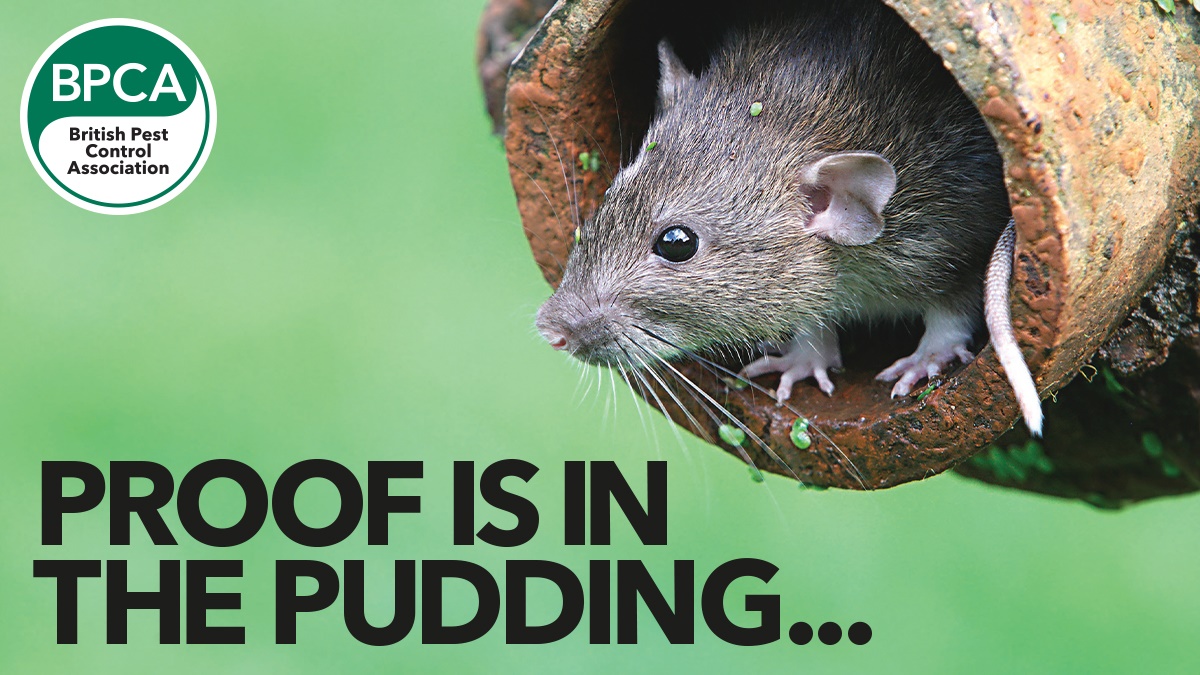 Proof is in the pudding: Fundamentals of pest proofing