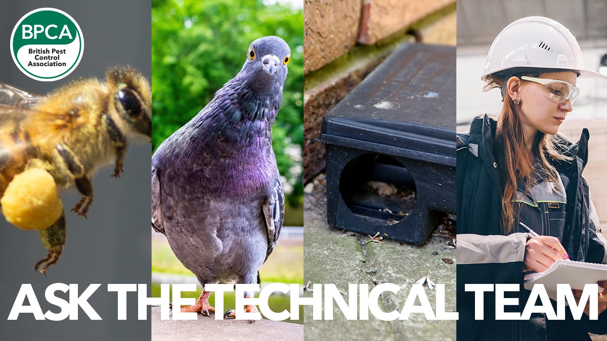 Ask the technical team: March 2025