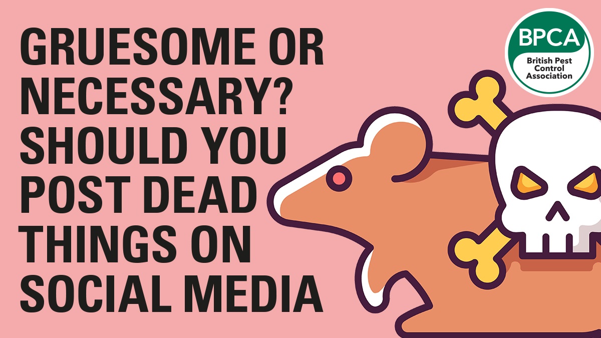 Gruesome or necessary? Should you post dead pests on social media?