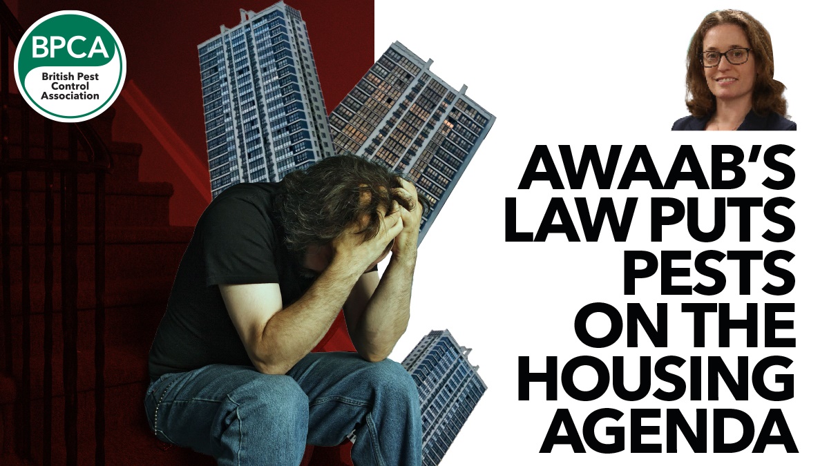 Awaab’s Law puts pests on the housing agenda