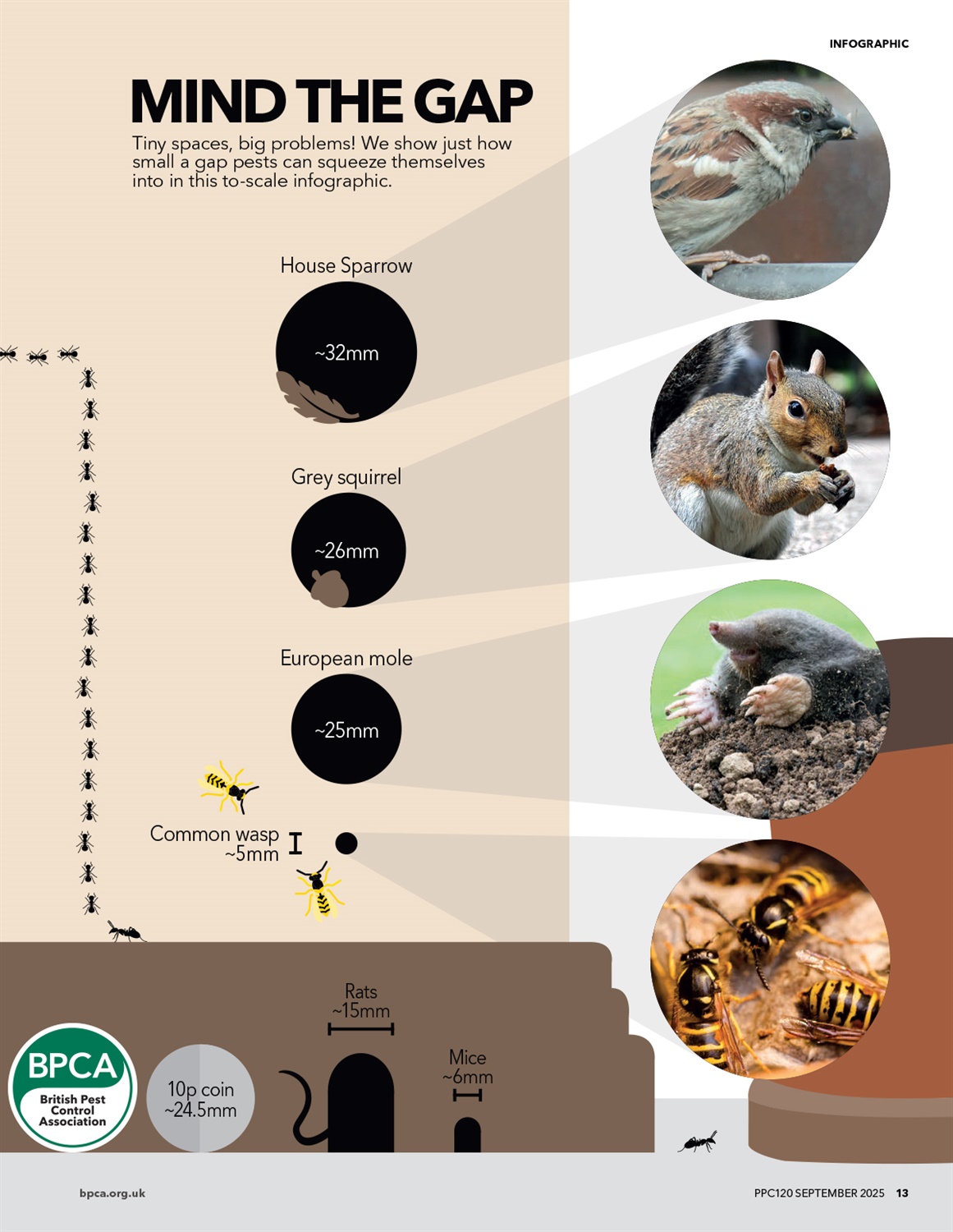 INFOGRAPHIC: Mind the gap