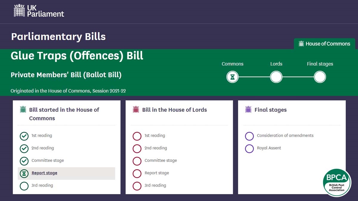 Glue Traps (Offences) Bill passes committee stage without amendment