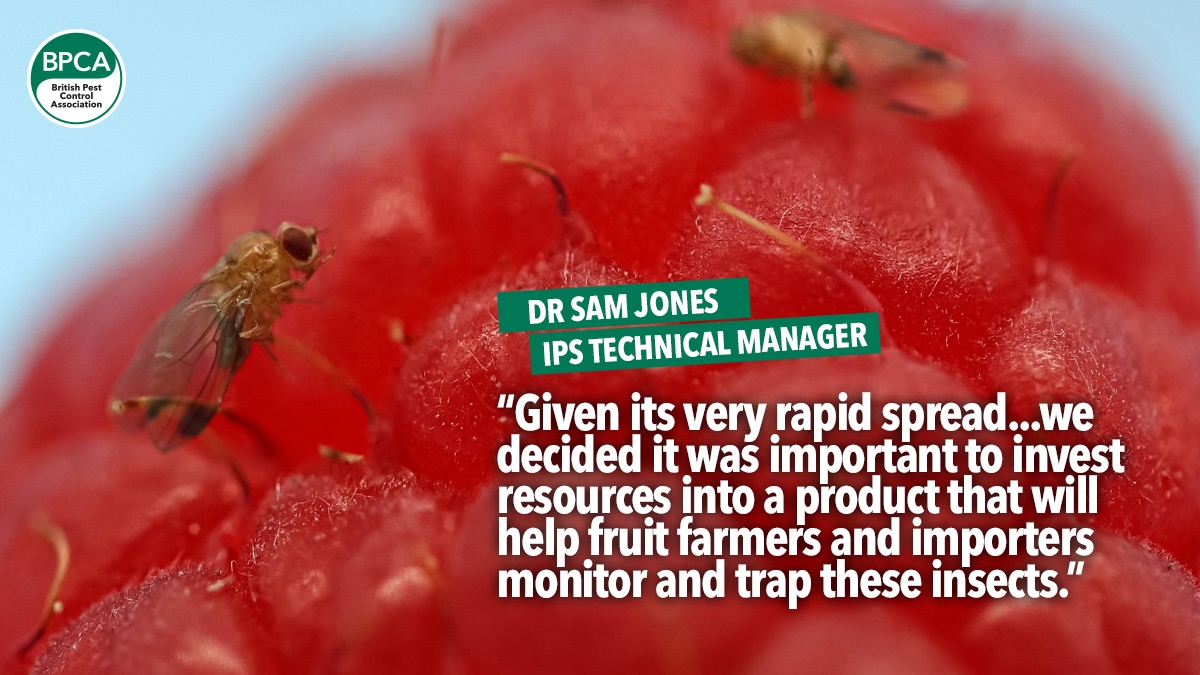 New fruit fly attractant launched by IPS